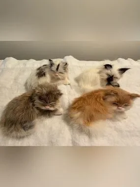 Accents | Four Small Vintage Cat Figurines Real Fur | Poshmark